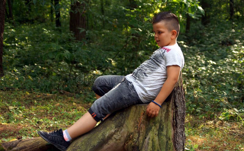 Boy Model Sitting on a Tree Branch Stock Photo - Image of women, light ...