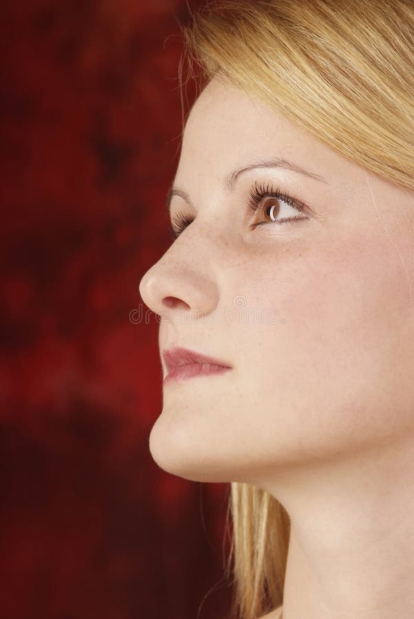Profile of Blond Woman with Long Hair Stock Photo - Image of hair ...