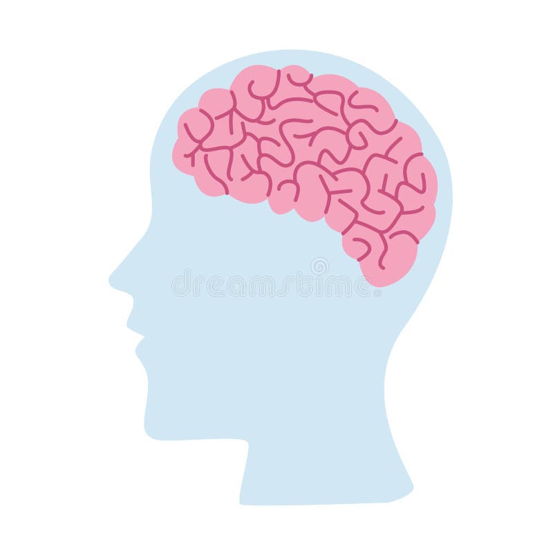 Profile with brain stock vector. Illustration of creativity - 217108709