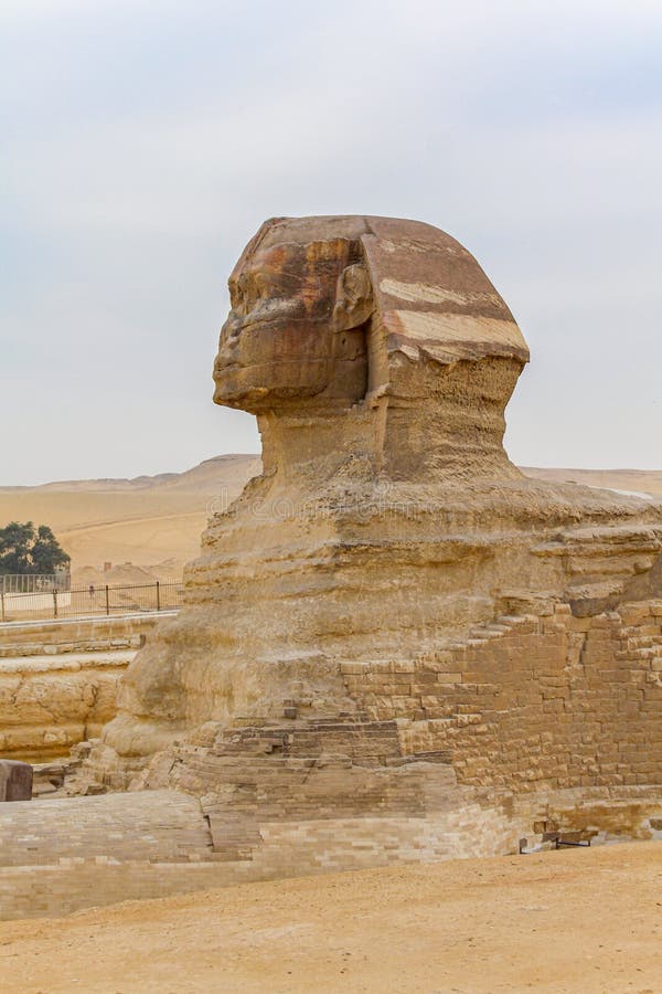Profile of the Famous Egyptian Sphinx in Giza, Egypt Stock Image ...