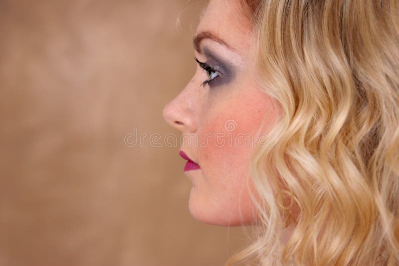 Profile of a girl stock image. Image of light, attractive - 1672827