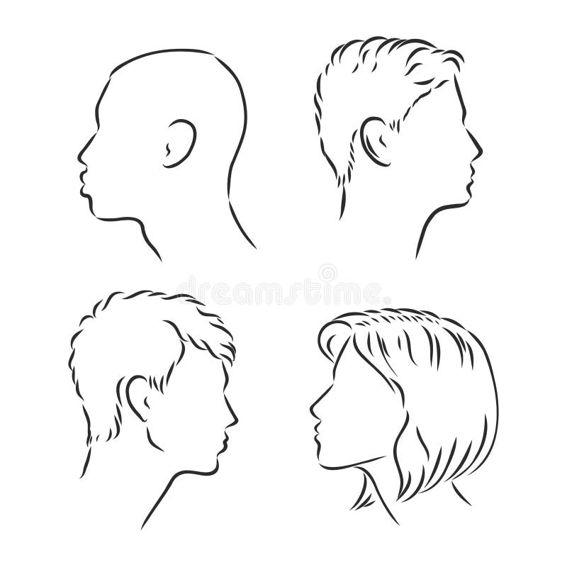 The Profile of a Human Head, Vector Illustration Sketch Stock Vector ...