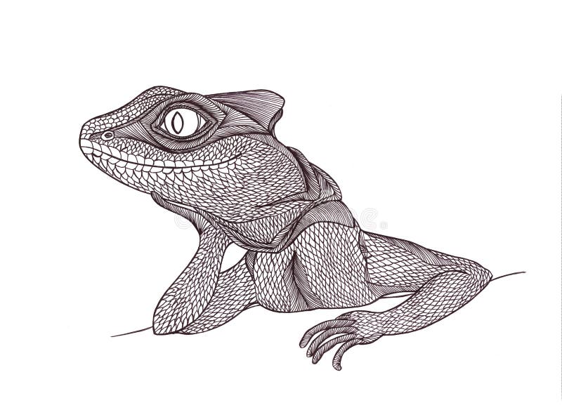 Lizard Hand-drawn Illustration in Sketch Style Stock Illustration ...