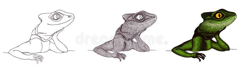 Profile Lizard. Hand drawn stock illustration. Illustration of fauna ...