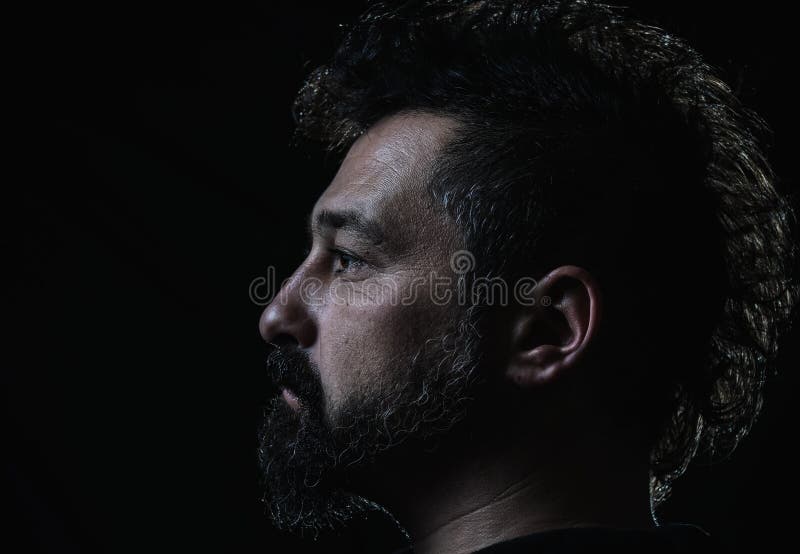 Profile of Man with Crest Hairstyle and Goatee Beard Stock Photo ...