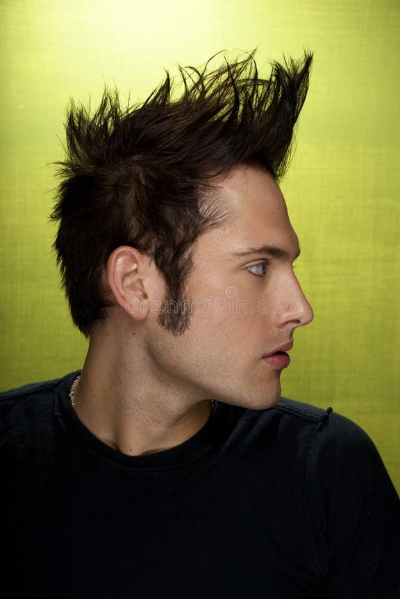Profile of Man with Mohawk stock image. Image of profile - 12162623
