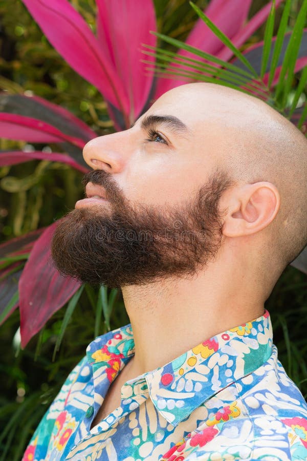 Profile Portrait of a Bearded Man Looking Up Stock Photo - Image of ...