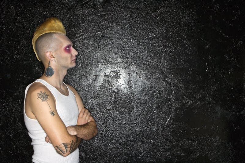 Profile of punk. stock photo. Image of 070322c0025, photograph - 2770974