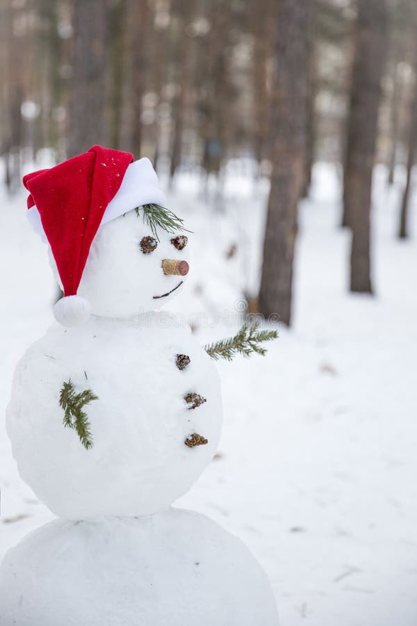 Profile Snowman Stock Photos - Free & Royalty-Free Stock Photos from ...
