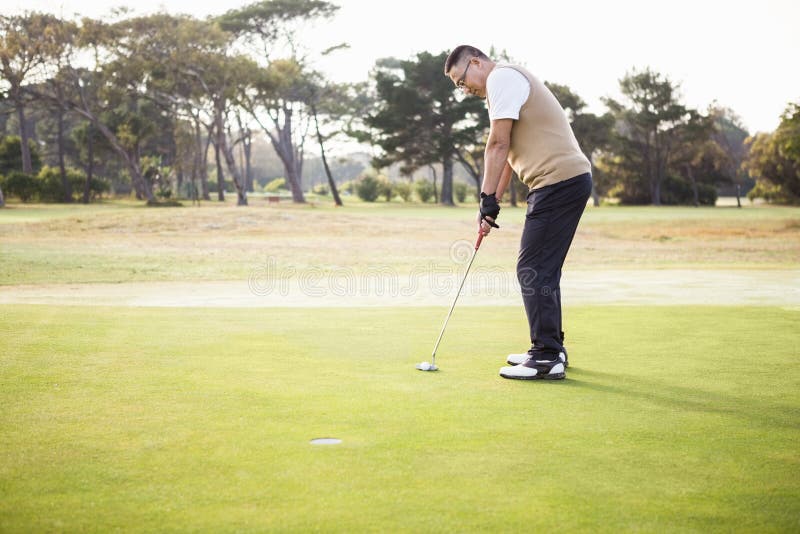 Profile View Sportsman Playing Golf Stock Photos - Free & Royalty-Free ...