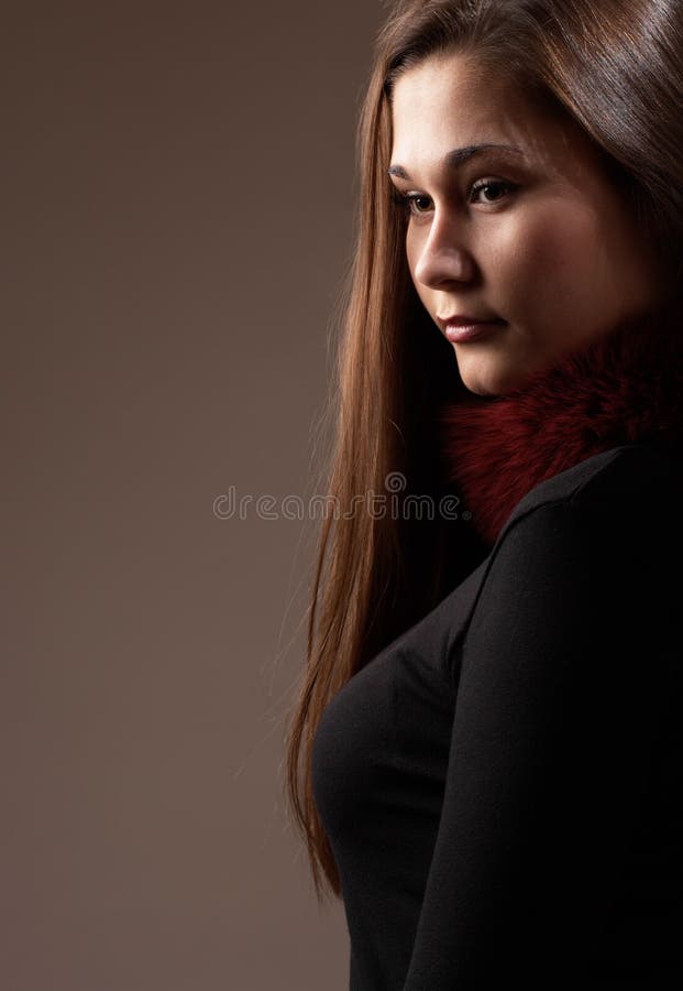 Profile of a woman stock photo. Image of glance, person - 17089228