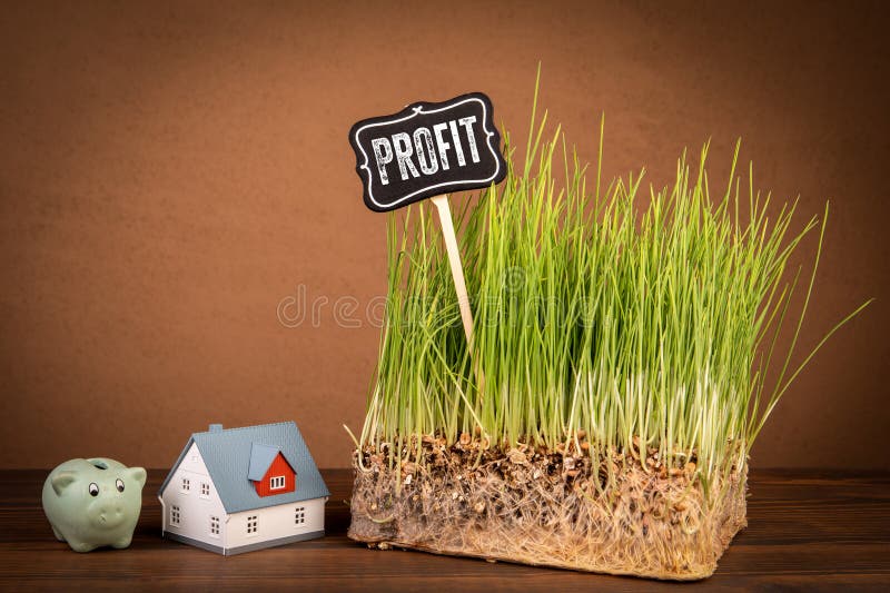 Profit concept on a tablet stock photo. Image of finance - 218608032