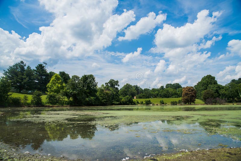 Profound Clouds Atop Beautiful Lake with Trees Stock Photo - Image of ...