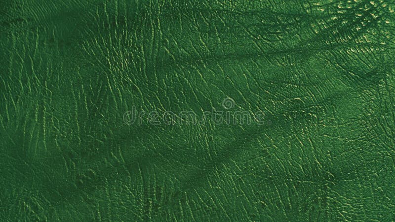 Profundo De Couro De Eco - Textura Da Cor Verde Foto de Stock - Imagem ...