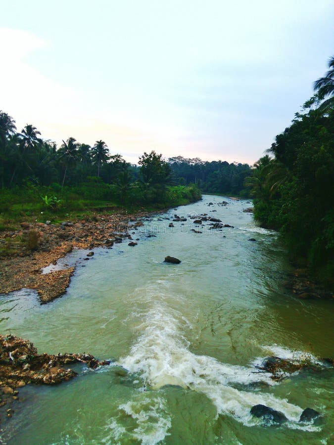 Progo river green water stock photo. Image of indonesia - 88345280
