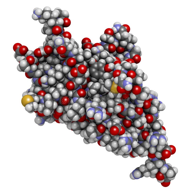 Programmed Cell Death 1 PD-1, CD279 Receptor Protein. PD-1 is a Major ...