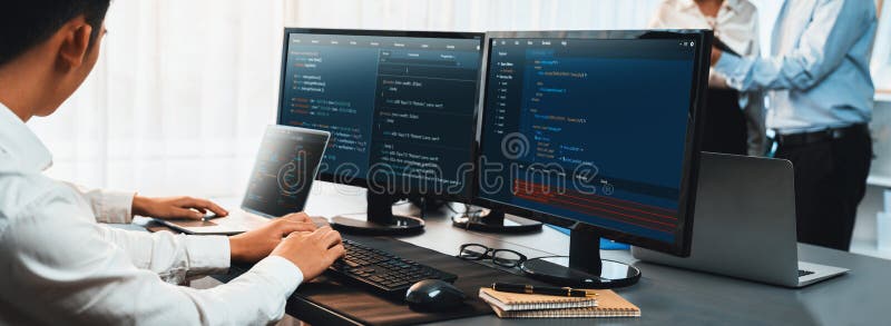 Programmer and Software Engineer Working in Tech Develop Company ...