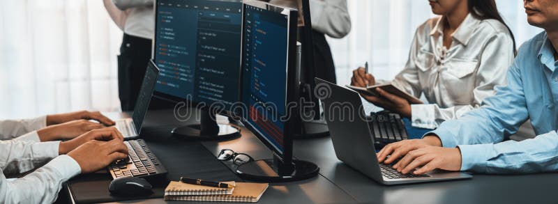 Programmer and Software Engineer Working in Tech Develop Company ...