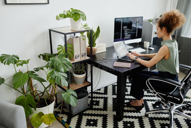 Programmer Working at Office Stock Photo - Image of desk, office: 221744576