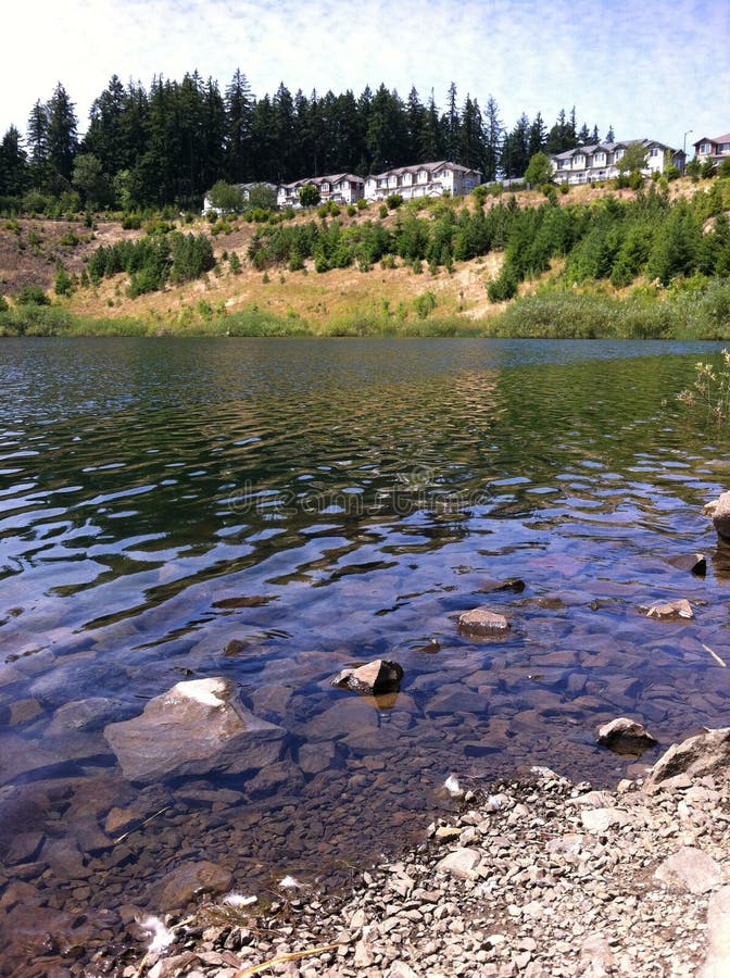 Progress Ridge Pond stock photo. Image of treesnature - 44863884