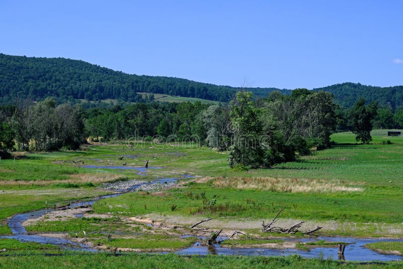 In Progress, Streambank and Floodplain Restoration on a Small Stream ...
