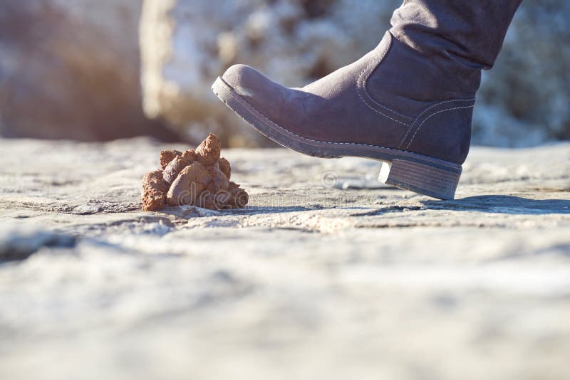 6,941 Photos de Merde - Photos de stock gratuites et libres de droits ...