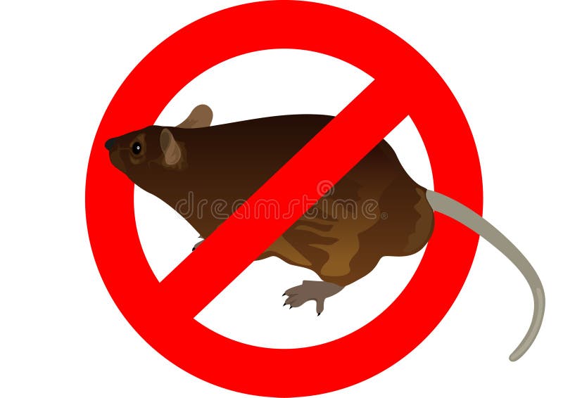 Extermination of Rats and Mice Stock Vector - Illustration of babies ...