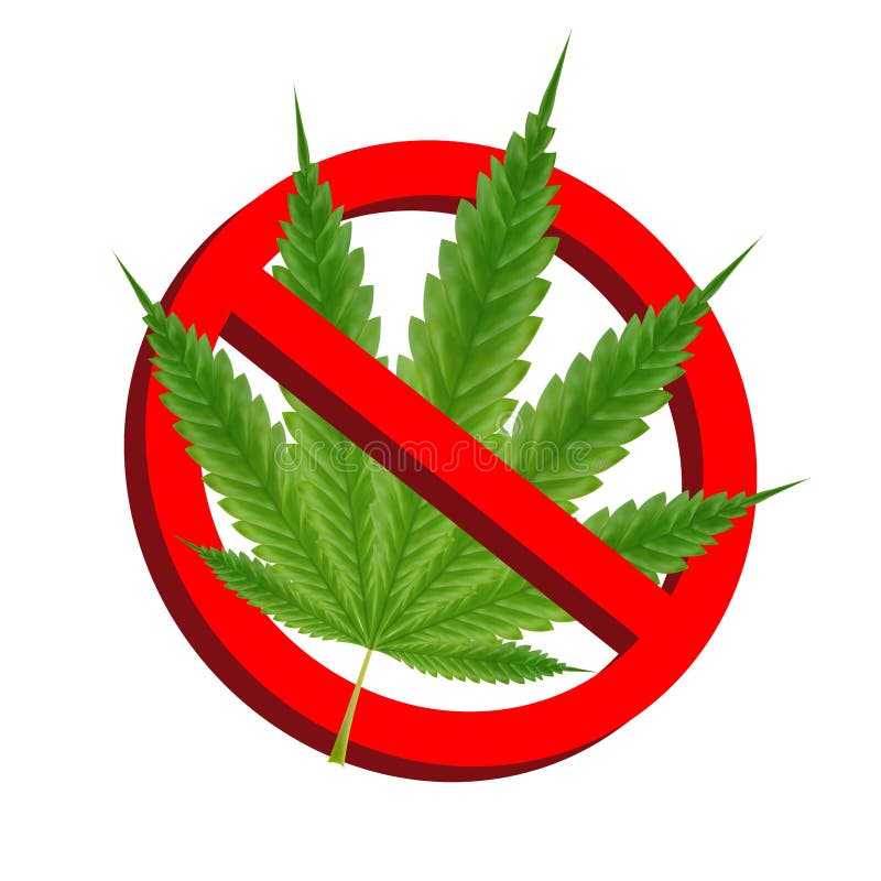 Prohibition Signs with Green Marijuana Leaf Vector Stock Vector ...