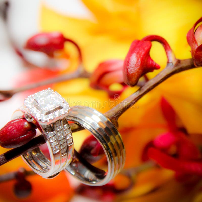 Proibições Do Casamento, Um Sinal Do Amor E Compromisso Imagem de Stock ...