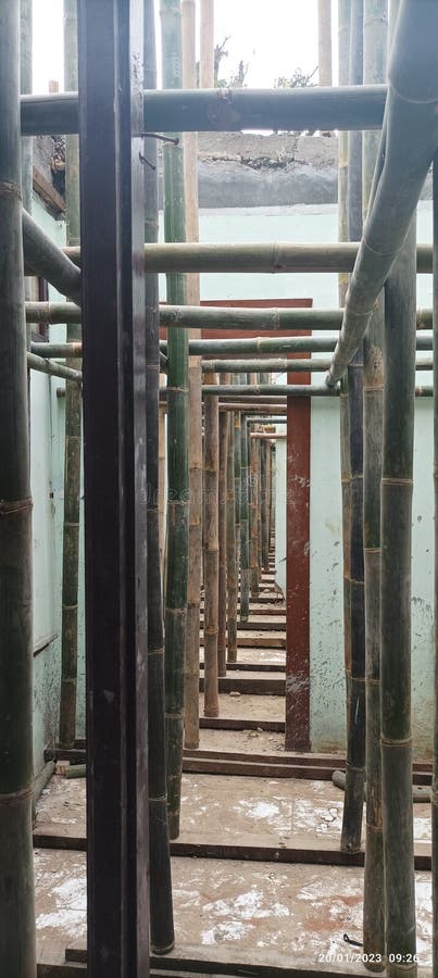 The Project Bamboo Pondation Indonesia Stock Image - Image of project ...