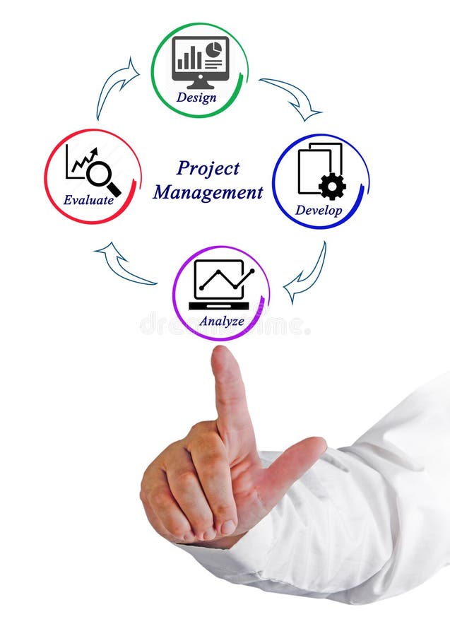 Project Management stock photo. Image of manager, expert - 84303298