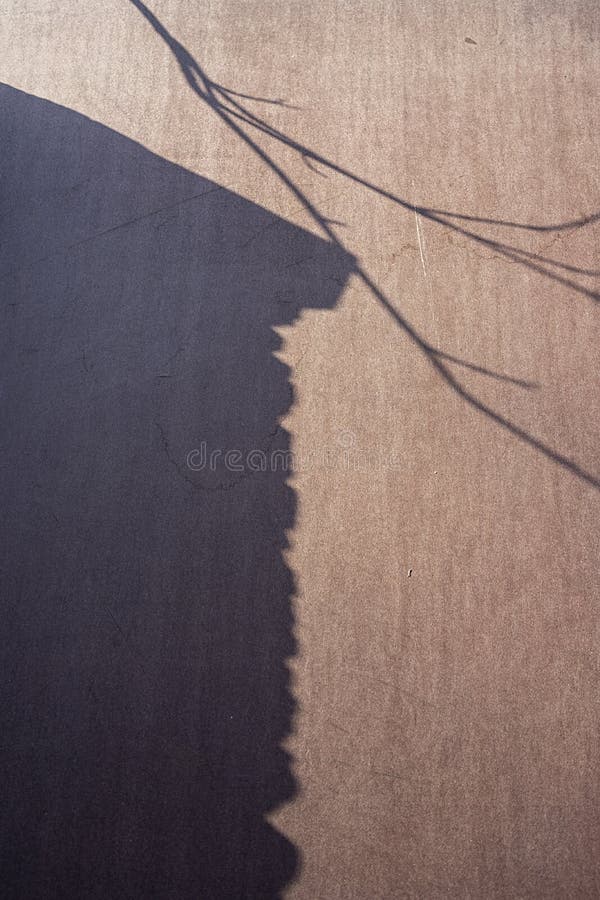 A Projection of Artistic Shadows Can Be Seen on a Rusty Iron Plate ...