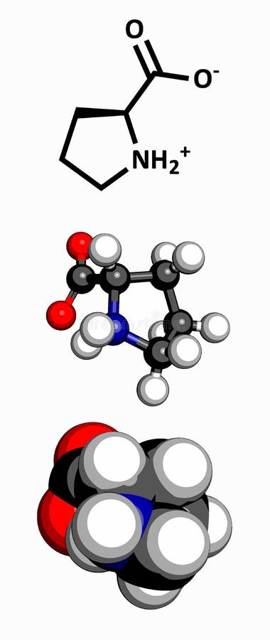Proline or L-proline, Pro, Amino Acid Molecule. Skeletal Formula Stock ...