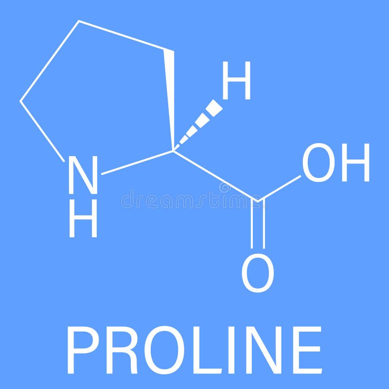 Proline or L-proline, Pro, Amino Acid Molecule. Skeletal Formula Stock ...
