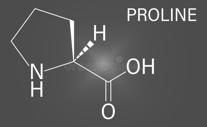 Proline or L-proline, Pro, Amino Acid Molecule. Skeletal Formula Stock ...