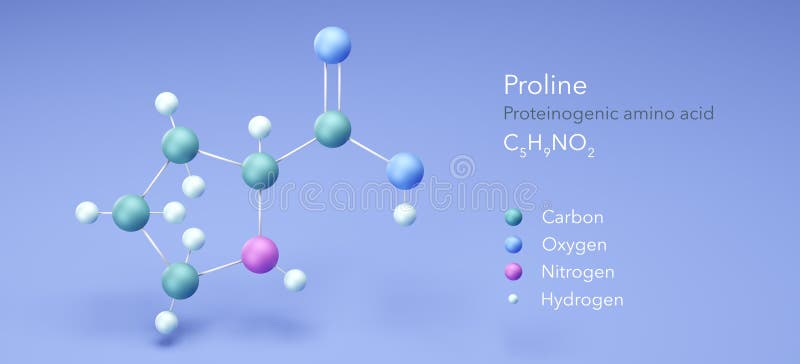 Proline, Molecular Structures, Proteinogenic Amino Acid, 3d Model ...