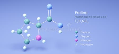 Proline, Molecular Structures, Proteinogenic Amino Acid, 3d Model ...
