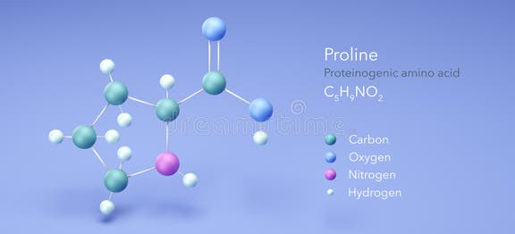 Proline, Molecular Structures, Proteinogenic Amino Acid, 3d Model ...