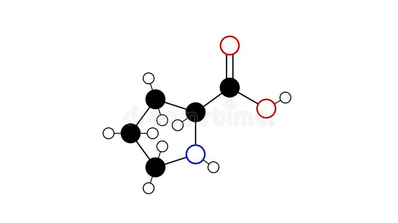 Proline L- Proline, Pro , P Proteinogenic Amino Acid Molecule. Sheet of ...