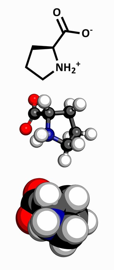 Proline or L-proline, Pro, Amino Acid Molecule. Skeletal Formula Stock ...
