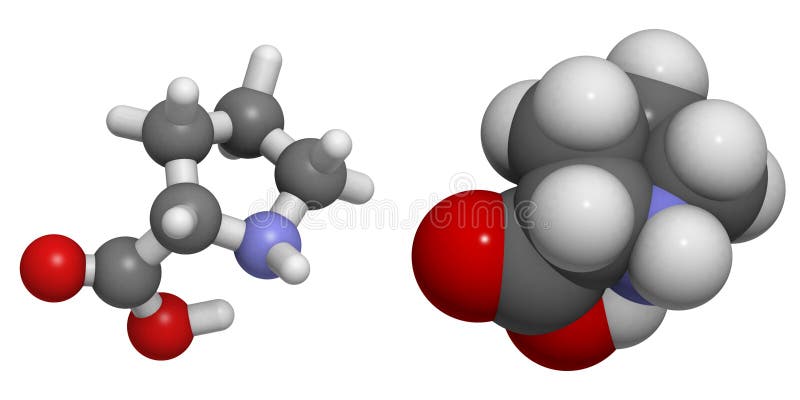 Proline L- Proline, Pro , P Proteinogenic Amino Acid Molecule ...
