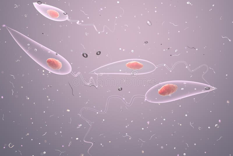 Promastigotes Van Leishmania-parasiet Stock Illustratie - Illustration ...