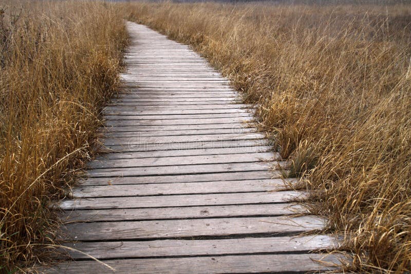 Promenade stockbild. Bild von westfalen, hölzern, landschaft - 24502085