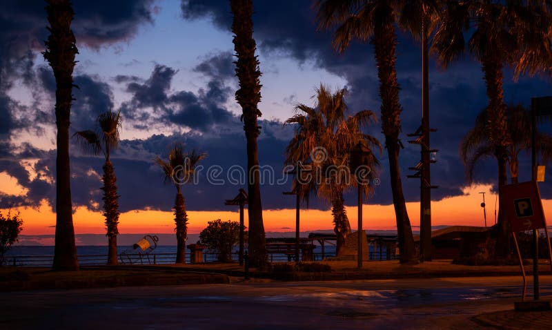 Promenade Along the Sea with Palm Trees at Sunset Stock Image - Image ...
