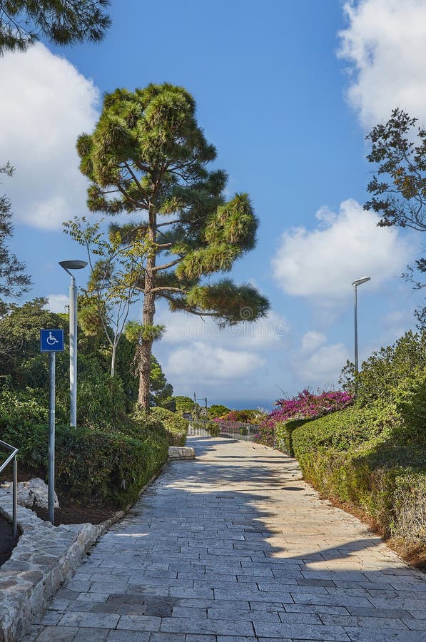 Promenade of the Embankment is Surrounded by Trees and Greenery Stock ...