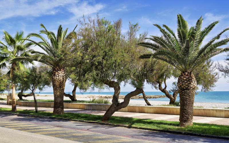 Moncofa Stock Photos - Free & Royalty-Free Stock Photos from Dreamstime