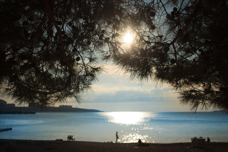 Promenade Sea at Sunset. Silhouettes of Trees Stock Photo - Image of ...
