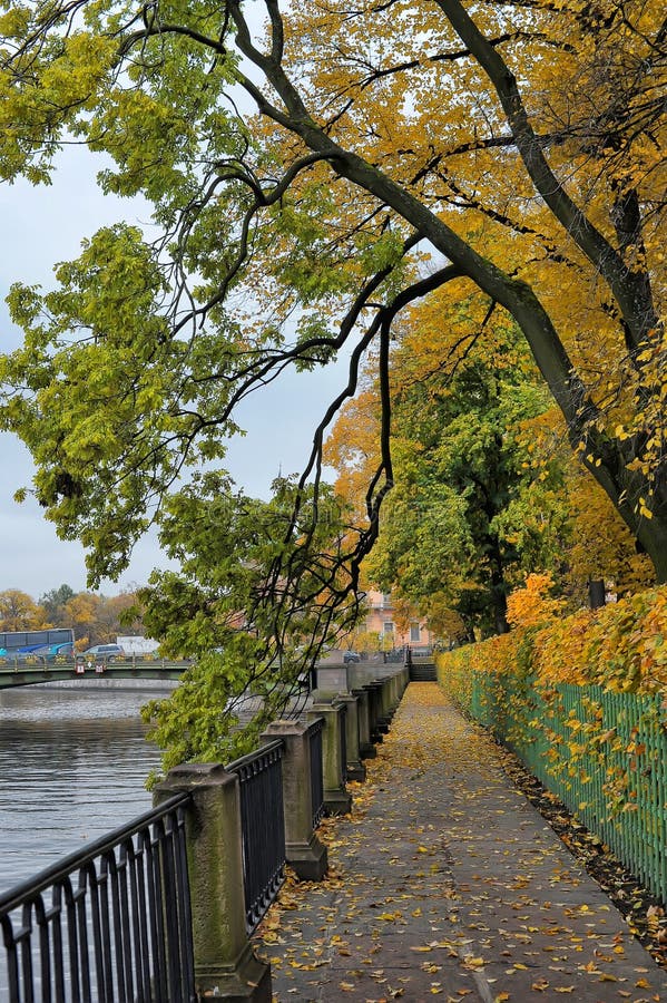 Autumn promenade. stock image. Image of sightseeing - 103194137
