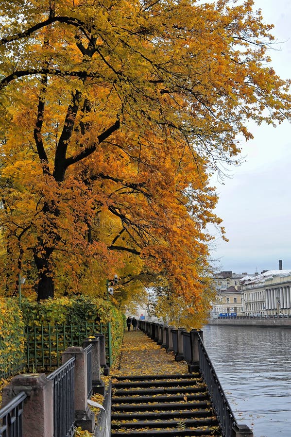 Promenade with Yellow Trees Stock Image - Image of cityscape, fall ...