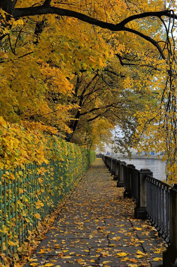 Promenade with Yellow Trees Stock Image - Image of city, october: 178680287